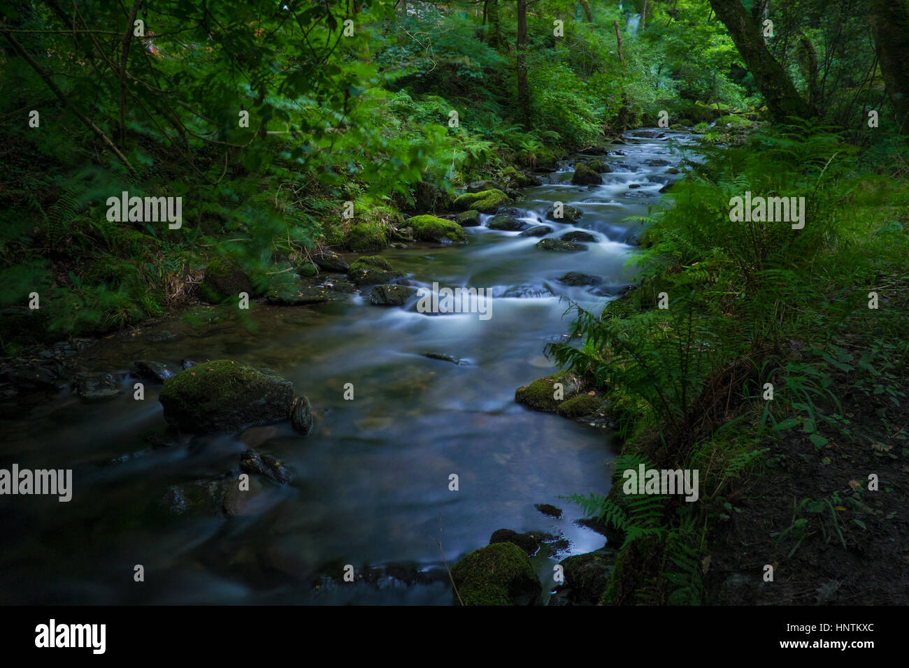 Natural water landscapes Stock Photo - Alamy