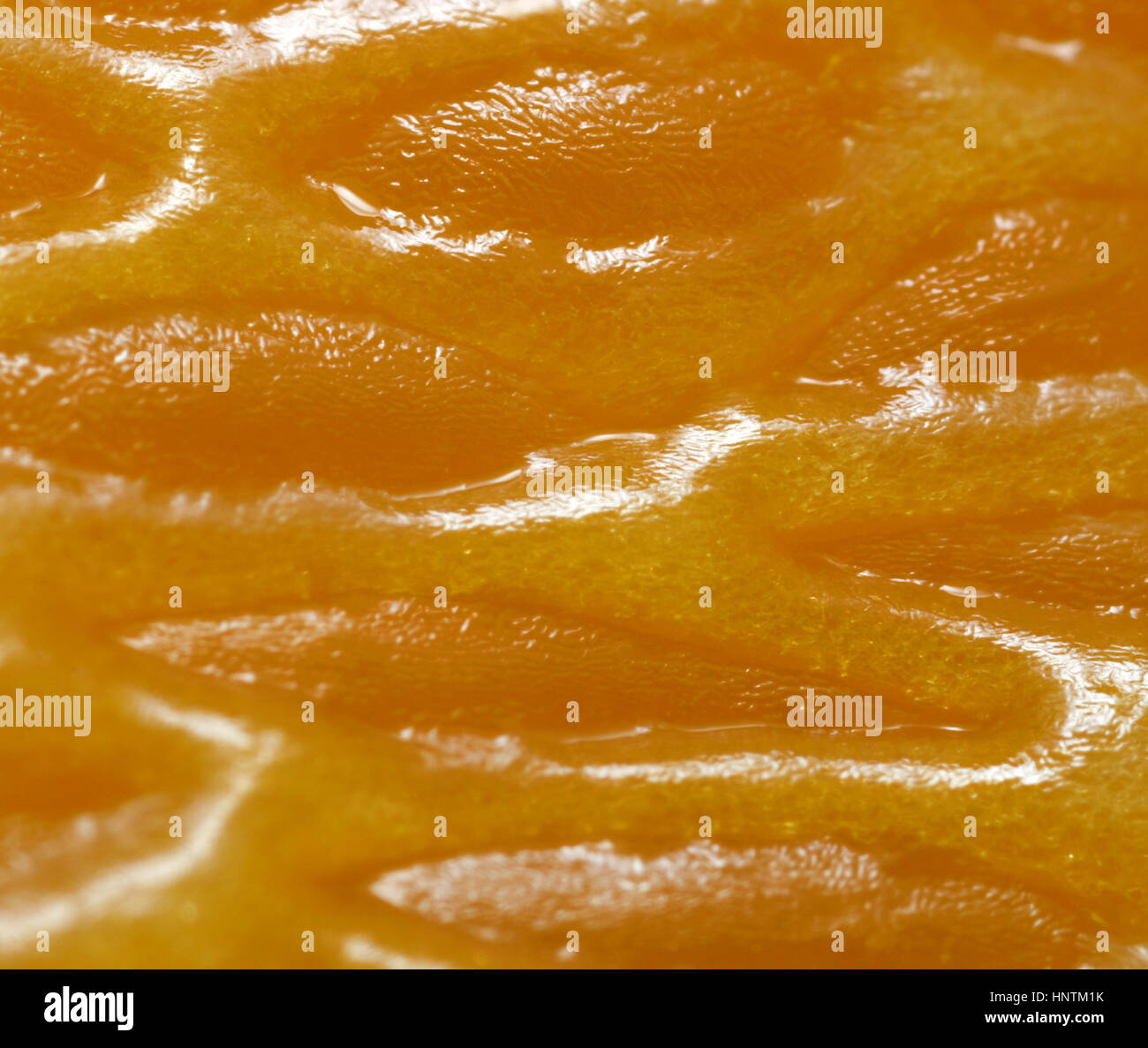 extreme macro of spiders/flies/bees with amazing colors and sharpeness ...