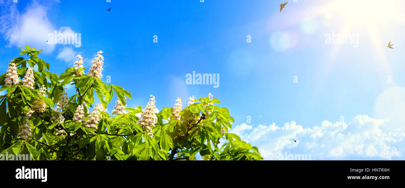 art abstract spring background background with spring flowers on blue ...