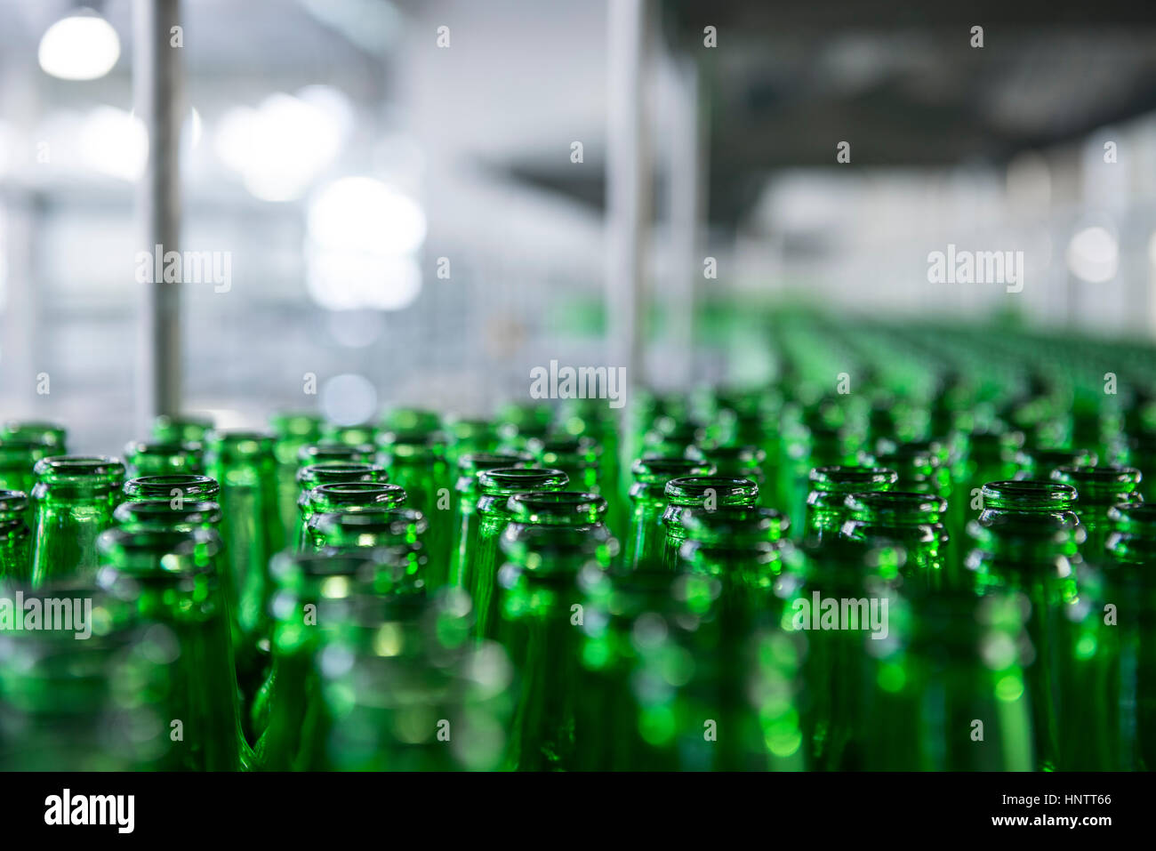 Beer production line hi-res stock photography and images - Alamy