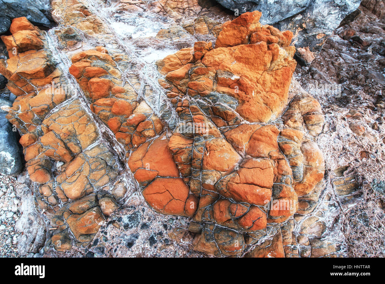 beautiful pattern in Stone at the coast Stock Photo - Alamy