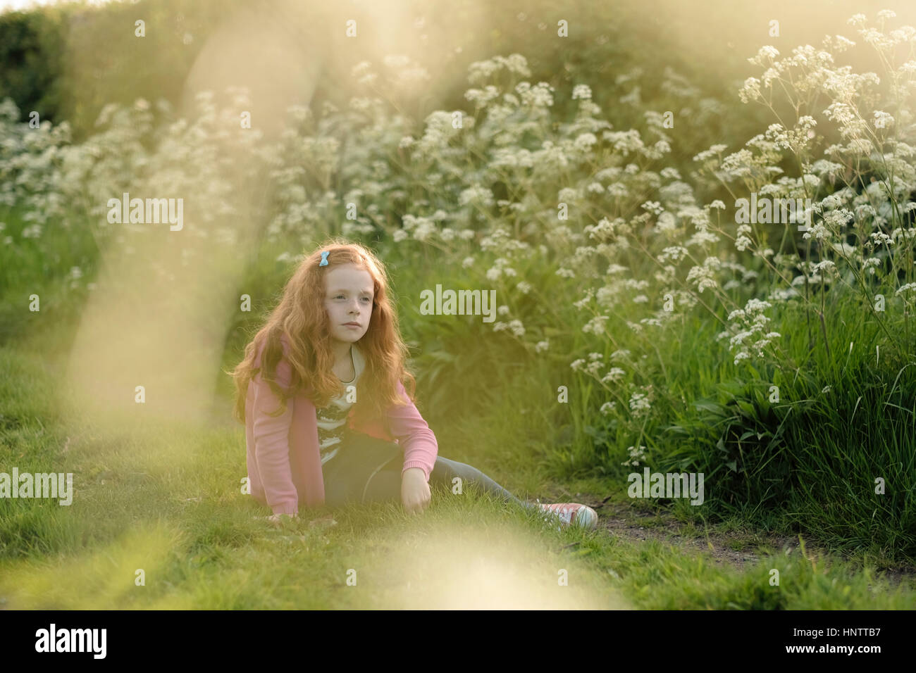 A little girl exploring the countryside Stock Photo - Alamy