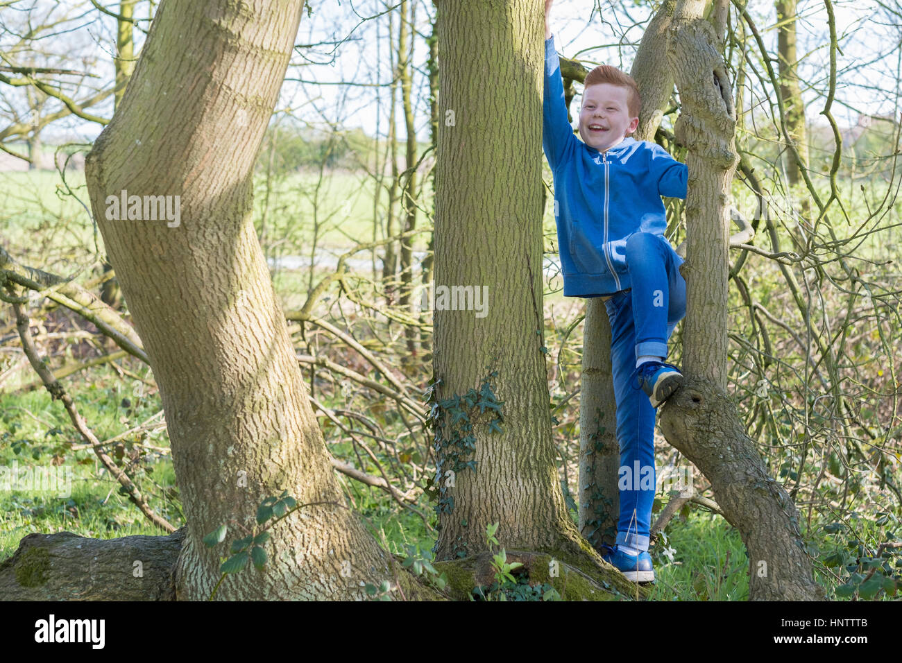 Boy climbing in tree hi-res stock photography and images - Alamy