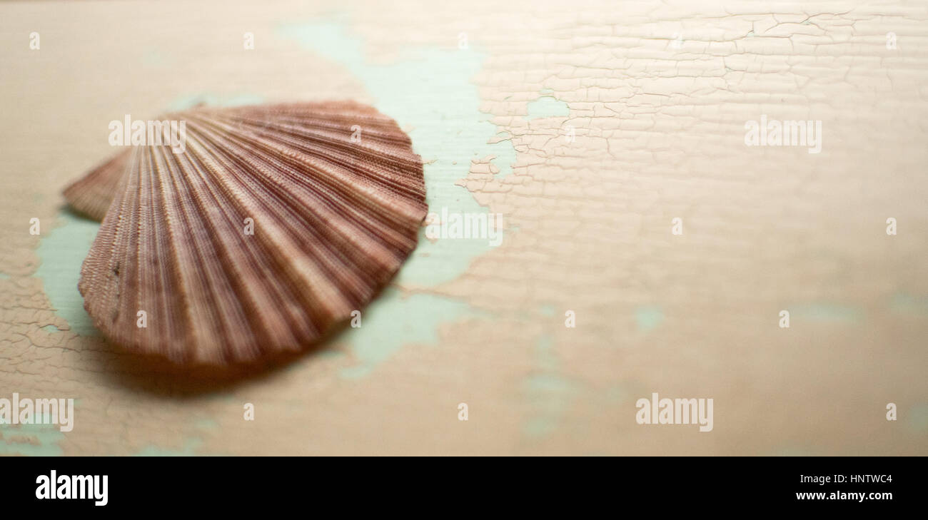 Seashell crafts hi-res stock photography and images - Alamy