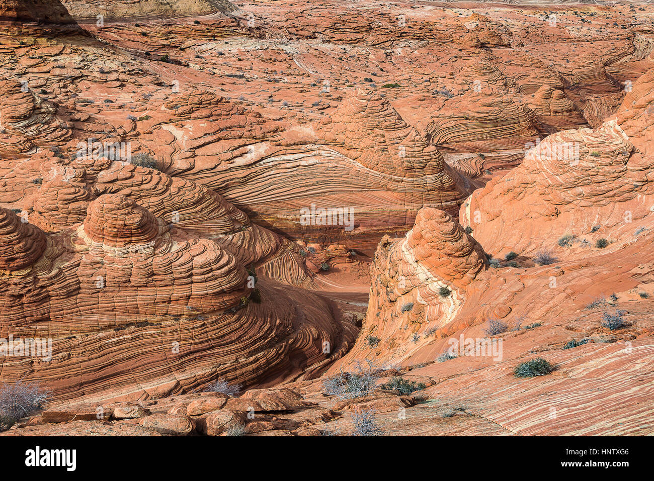 Beautiful landscape photography of erosion mountain around The Wave in ...
