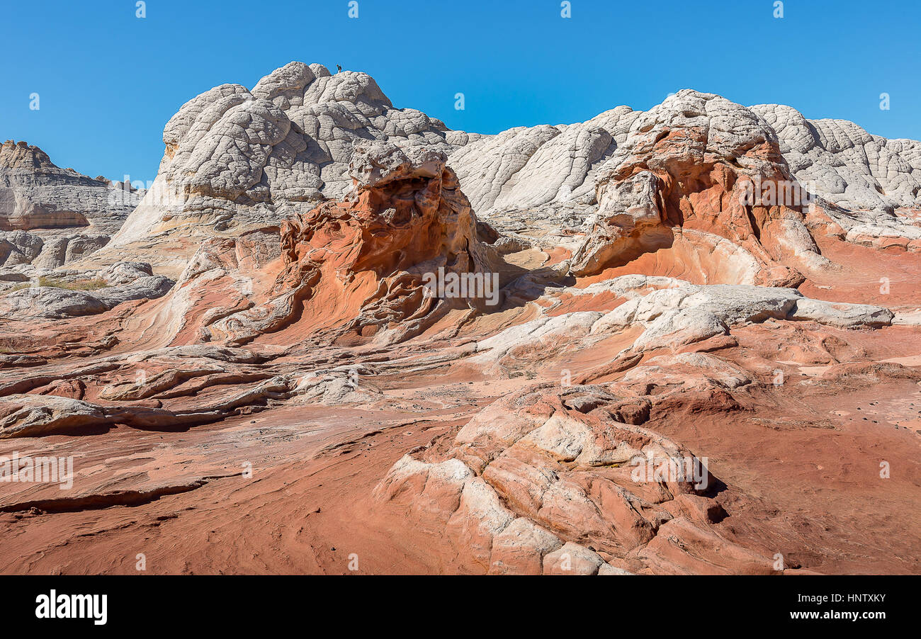 White Pocket, Unique formation of Rock Desert in Arizona Stock Photo ...
