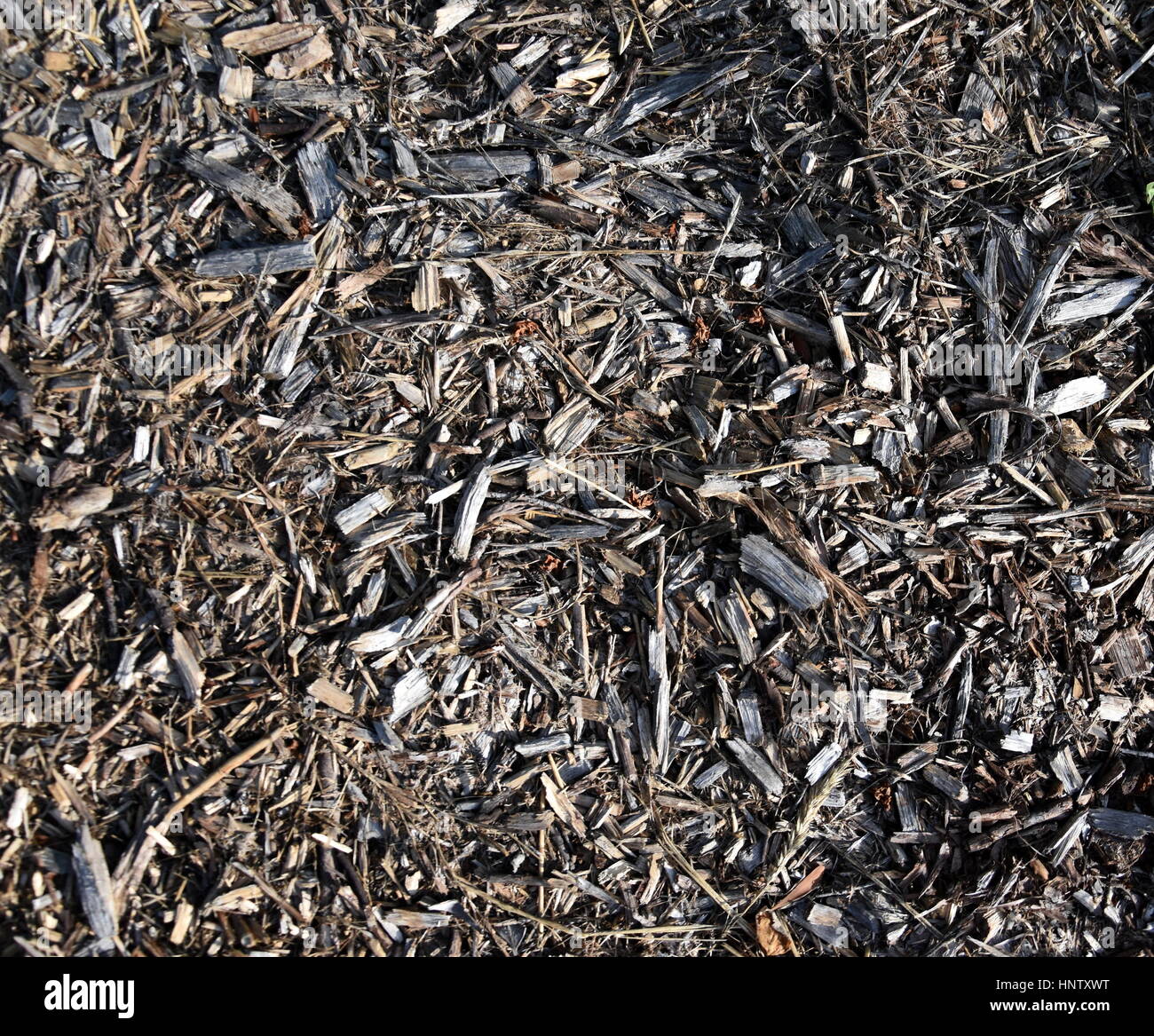 Bark leaves and wood chippings mulch as an abstract coarse background ...