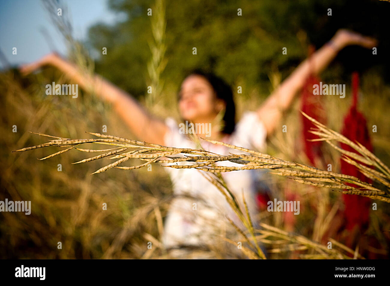 An Indian female raising hands in a garden out of happiness Stock Photo ...