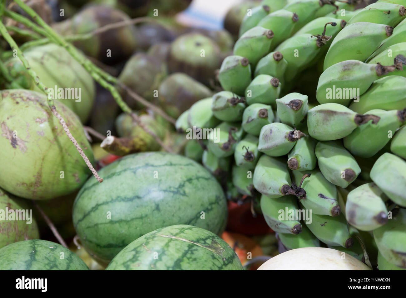 Toddy palm fruit hi-res stock photography and images - Alamy