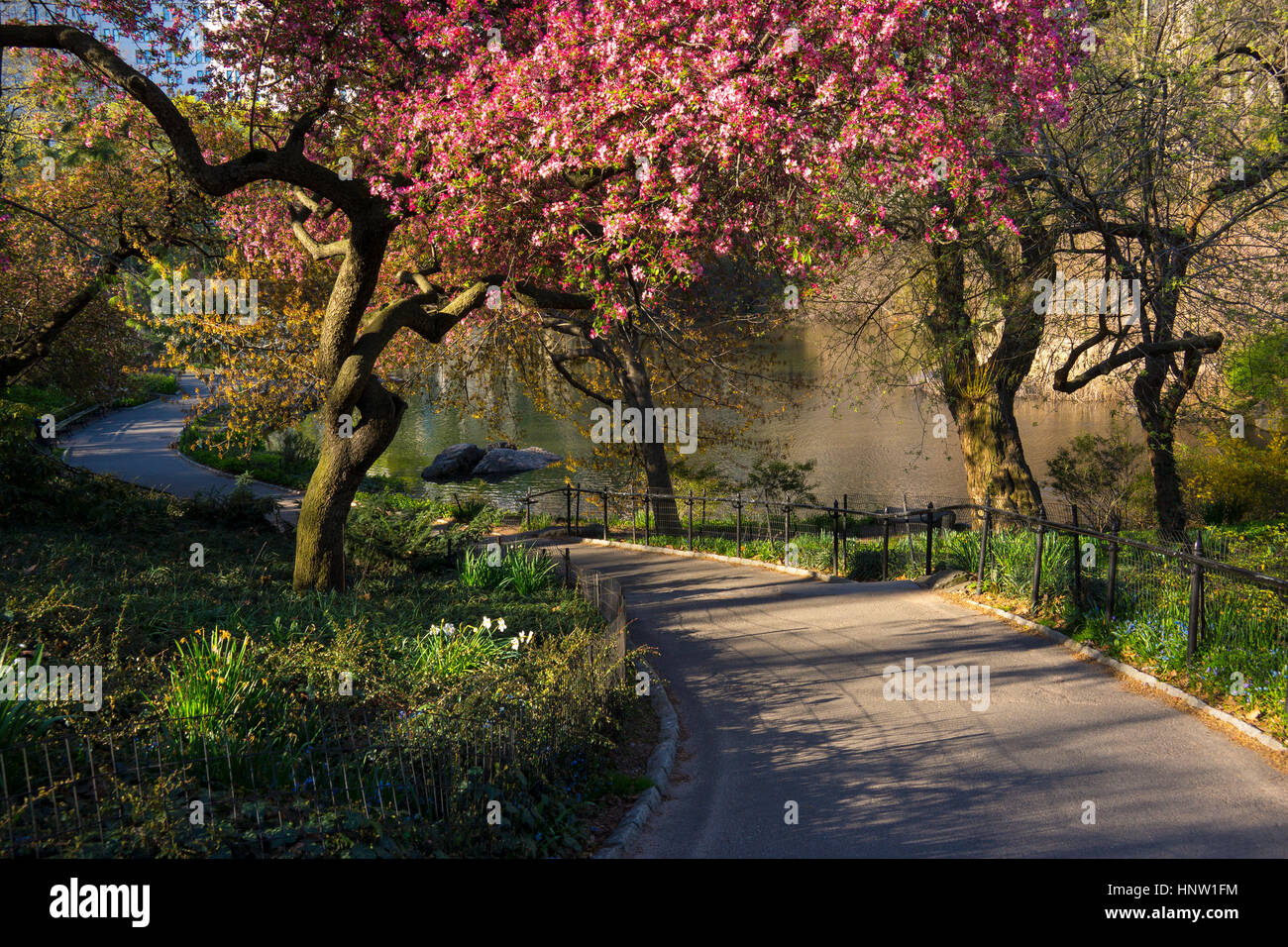 Peaceful lake image hi-res stock photography and images - Alamy