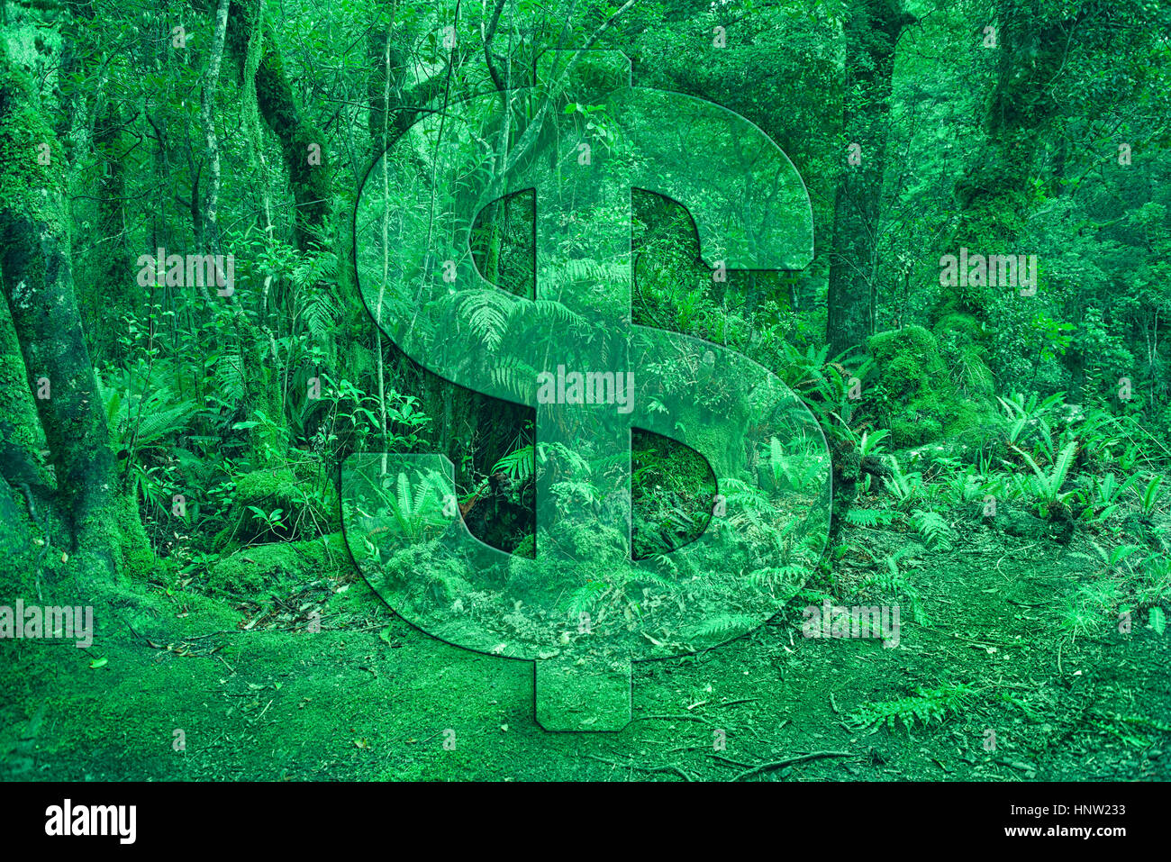 Dollar sign on green forest Stock Photo - Alamy