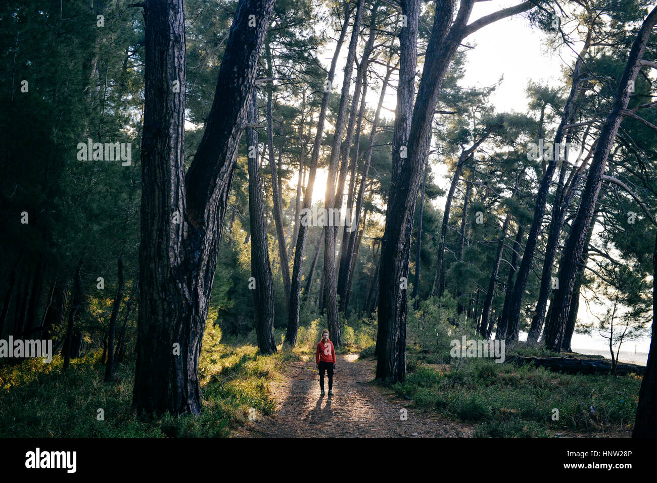 Woman standing forest path hi-res stock photography and images - Alamy