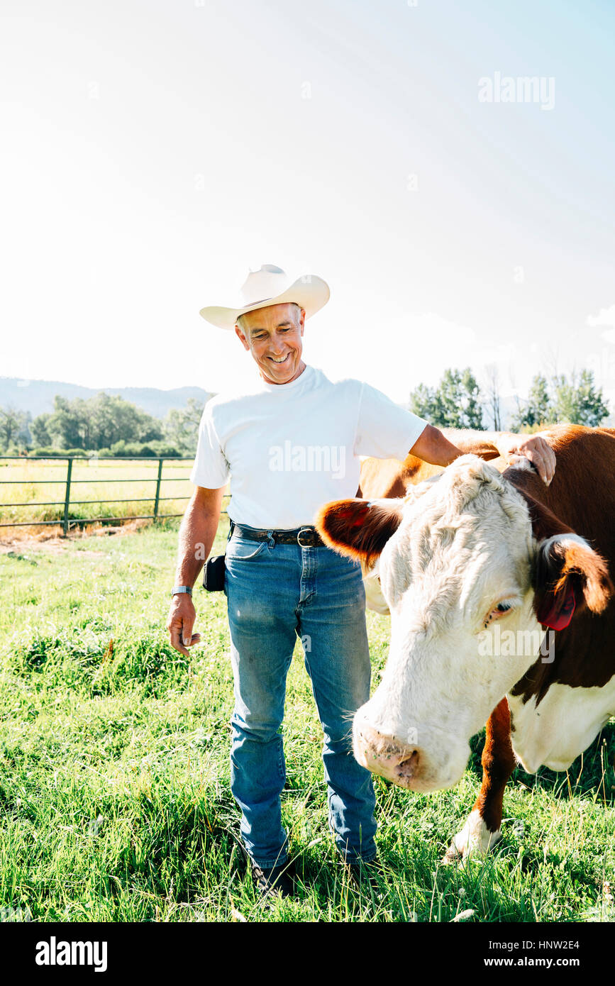 American cattle farmer hi-res stock photography and images - Alamy
