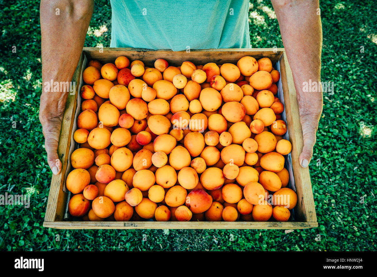 Midsection man holding box hi-res stock photography and images - Alamy