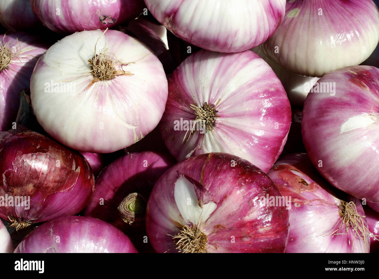 Pile of purple onions Stock Photo - Alamy