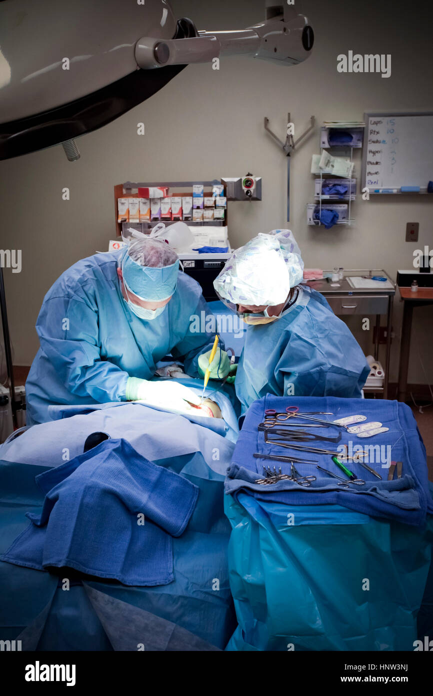 Mature female doctor santa hi-res stock photography and images - Alamy