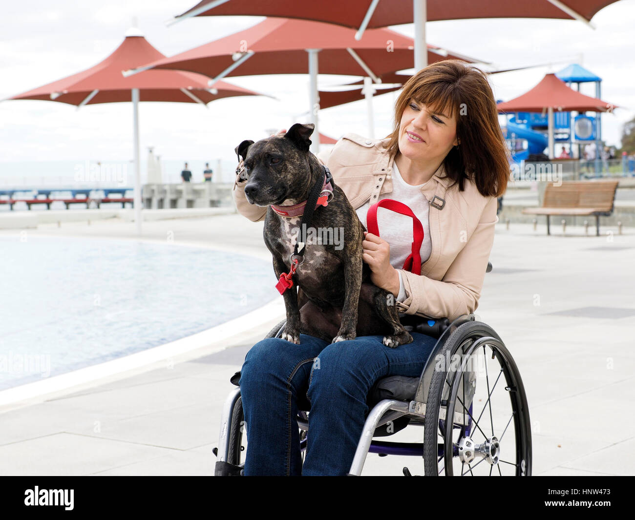 Woman with lap dog hi-res stock photography and images - Alamy