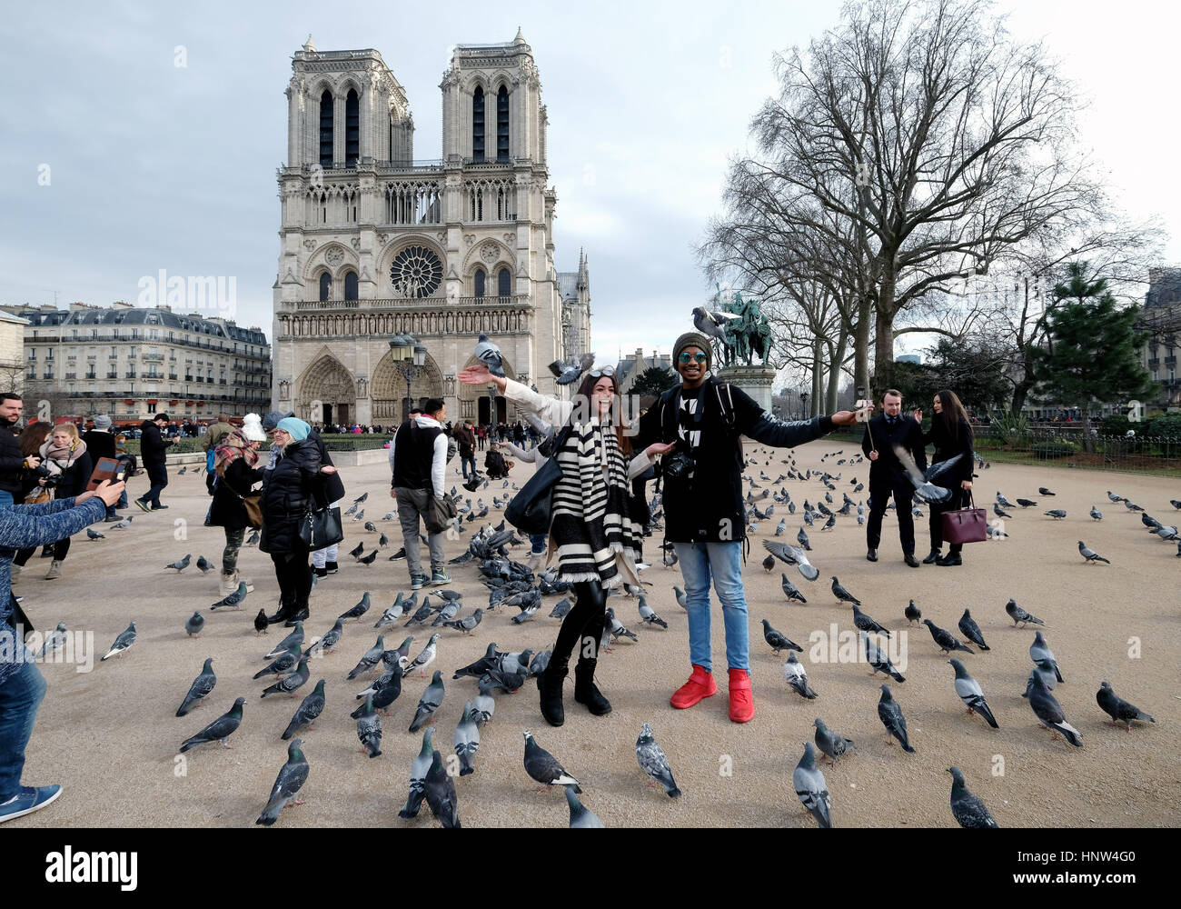 Pigeons paris hi-res stock photography and images - Alamy