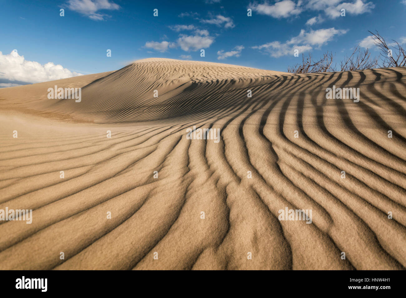 Ripples in sand dunes Stock Photo - Alamy