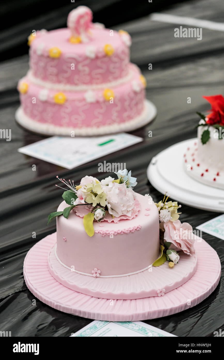 Ogus Cake Competition