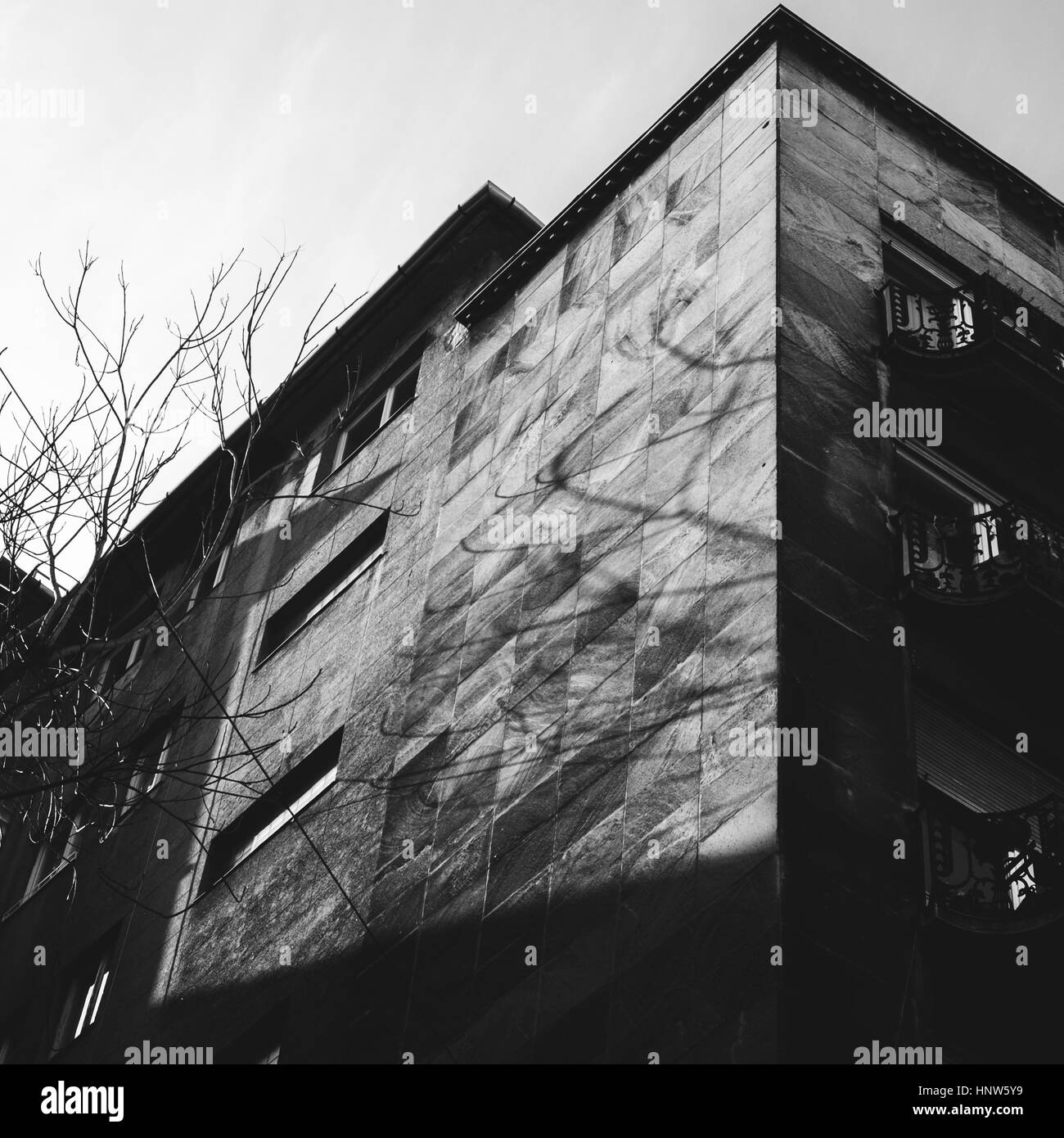 Tree shadows in buildings Stock Photo - Alamy