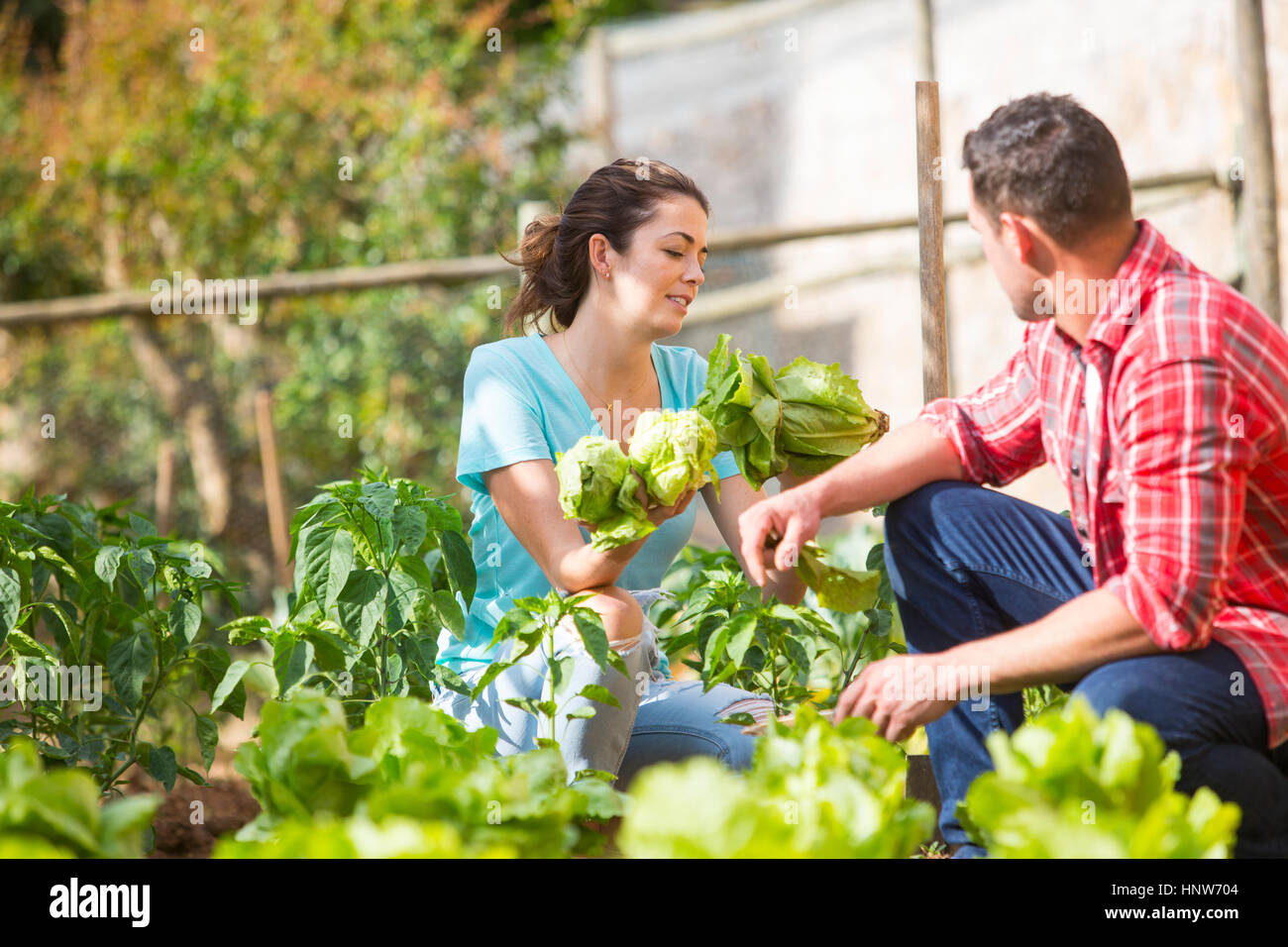 Farming skill hi-res stock photography and images - Alamy