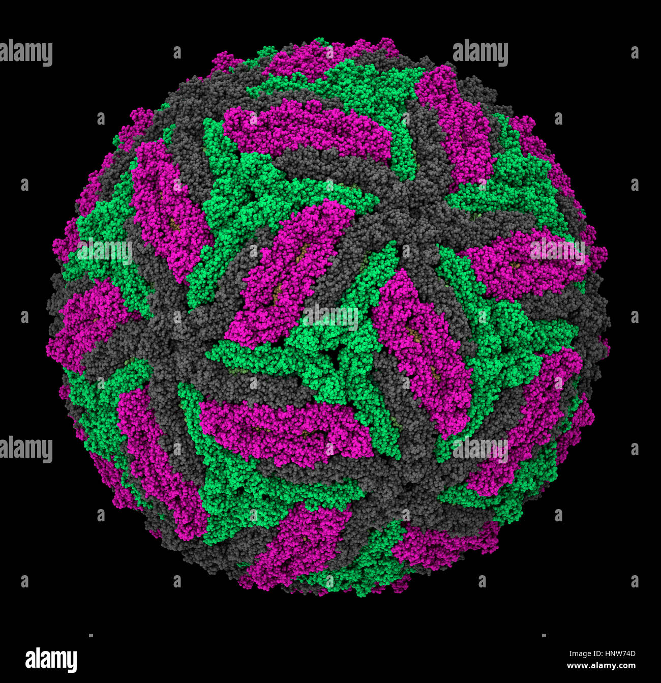 Zika hi-res stock photography and images - Alamy