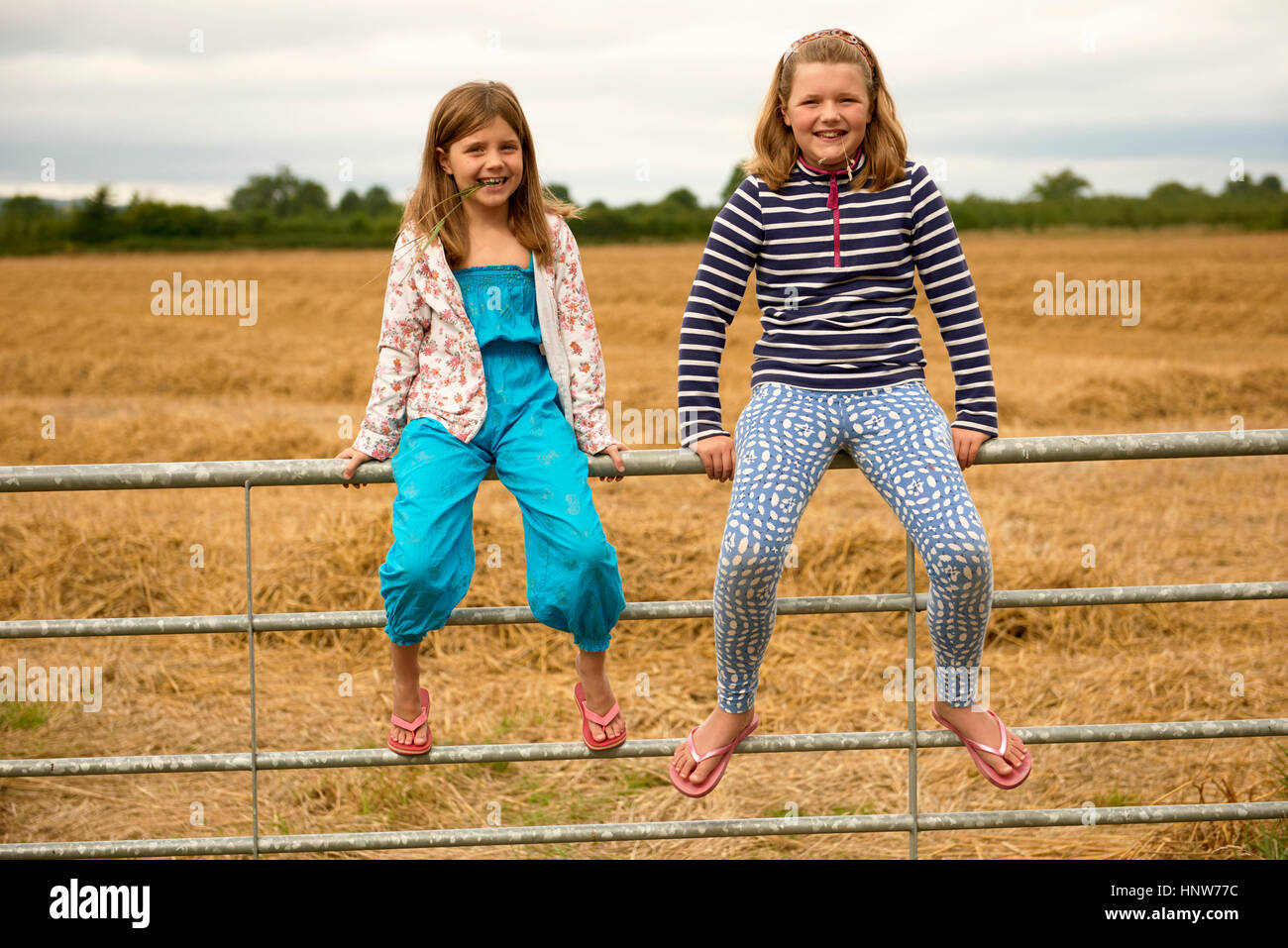 Gate camera hi-res stock photography and images - Alamy