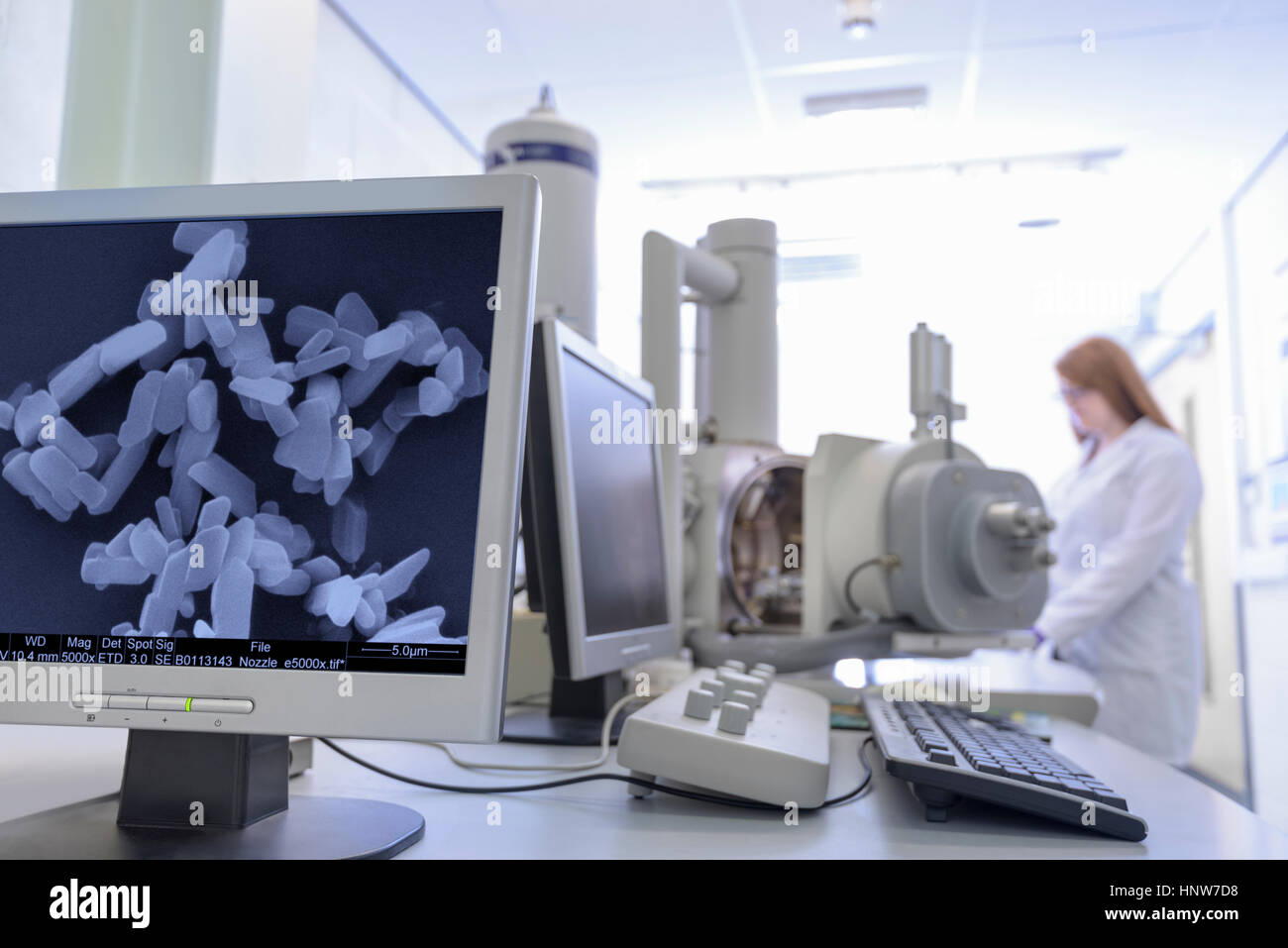 Scanning electron microscope image hi-res stock photography and images ...