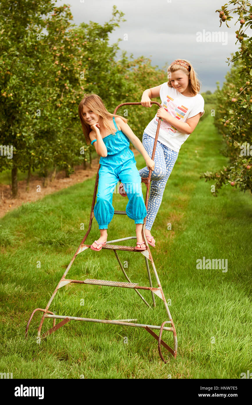 Girls on step ladder in apple orchard Stock Photo - Alamy