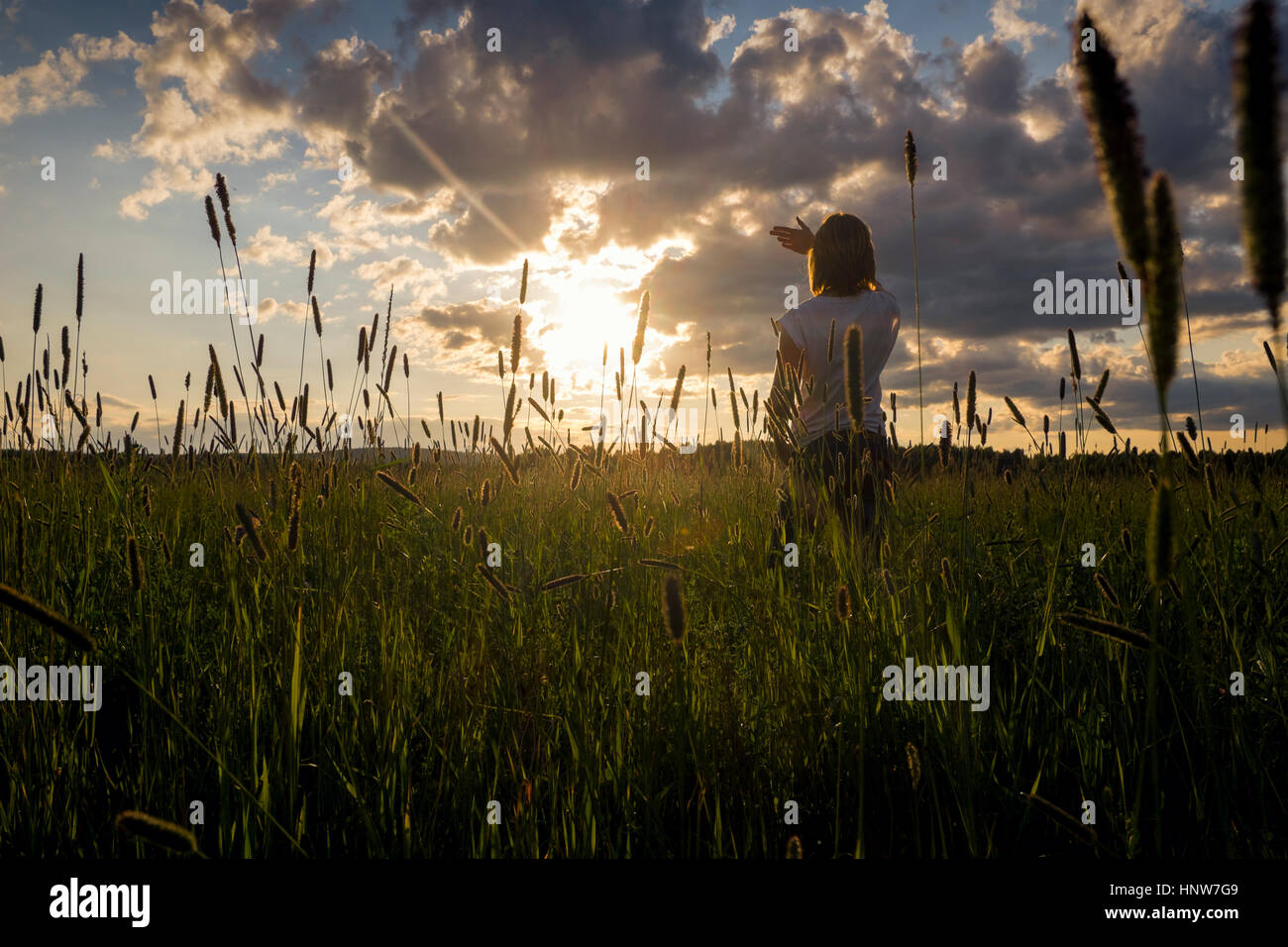 Woman looking out at sunset in field Stock Photo - Alamy