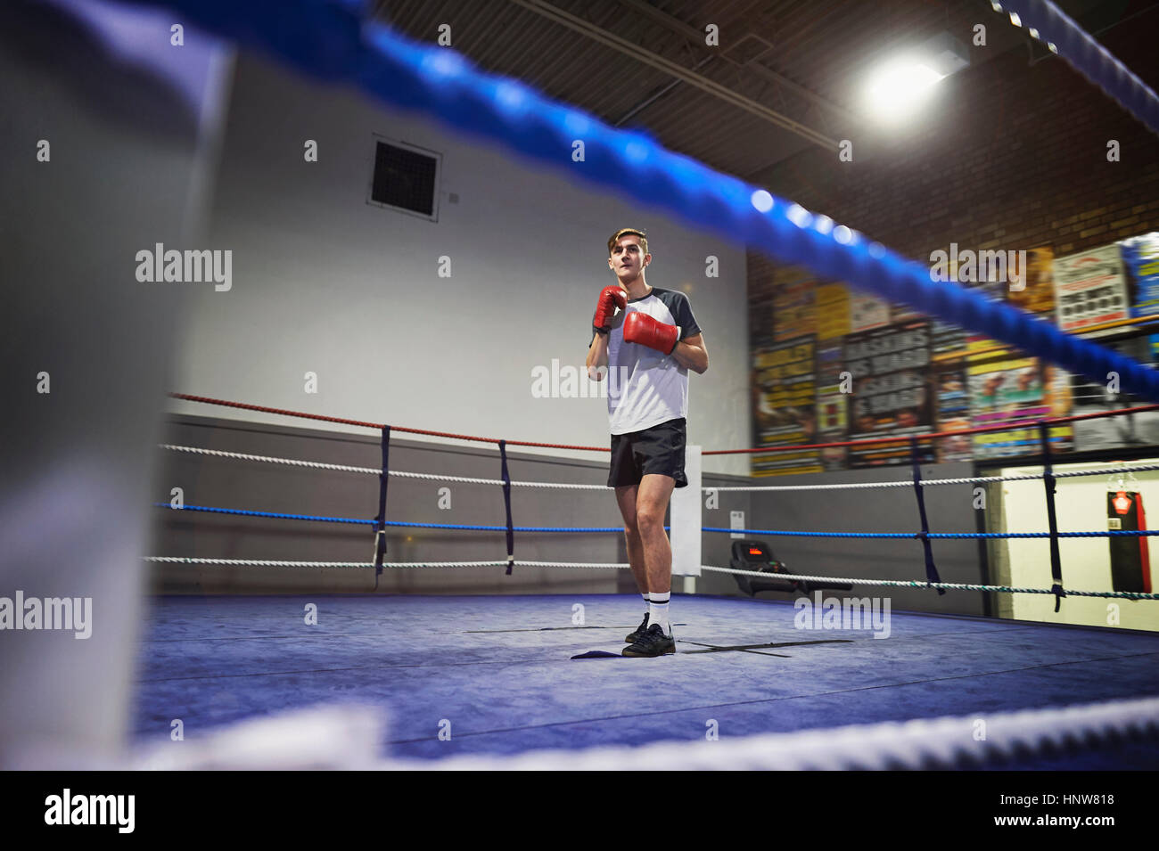 Young male boxer standing poised in boxing ring Stock Photo - Alamy