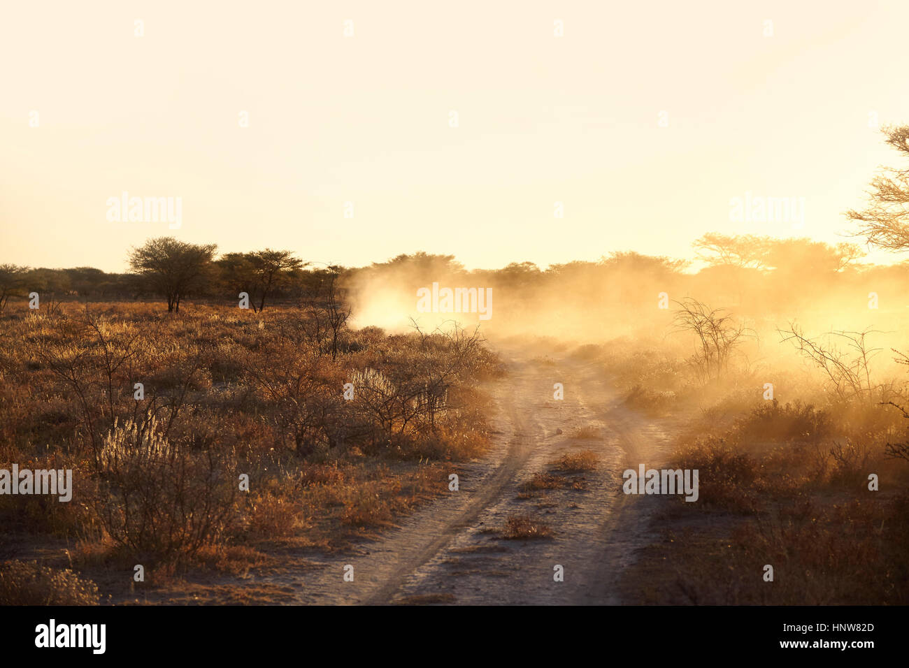 African plain hi-res stock photography and images - Alamy