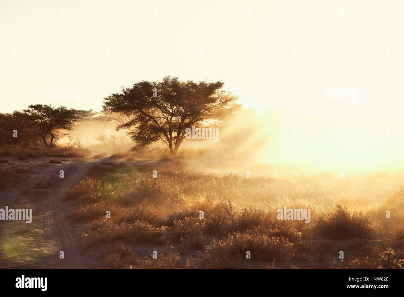 Dusty track hi-res stock photography and images - Alamy