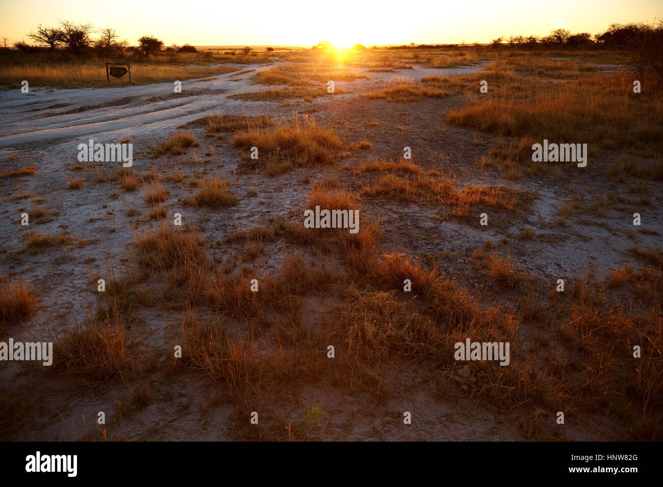 African plain hi-res stock photography and images - Alamy