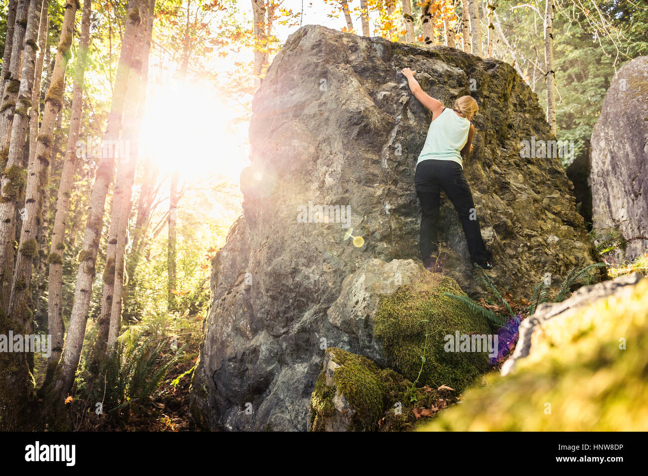 Female boulderer moving up forest boulder, Horne Lake Caves Provincial ...