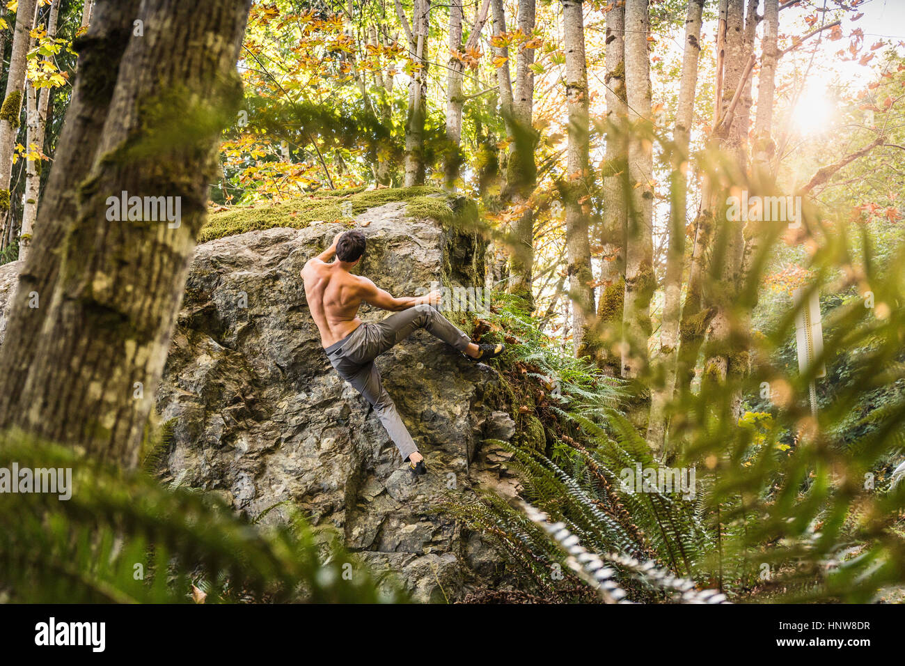 Male boulderer moving up forest boulder, Horne Lake Caves Provincial ...