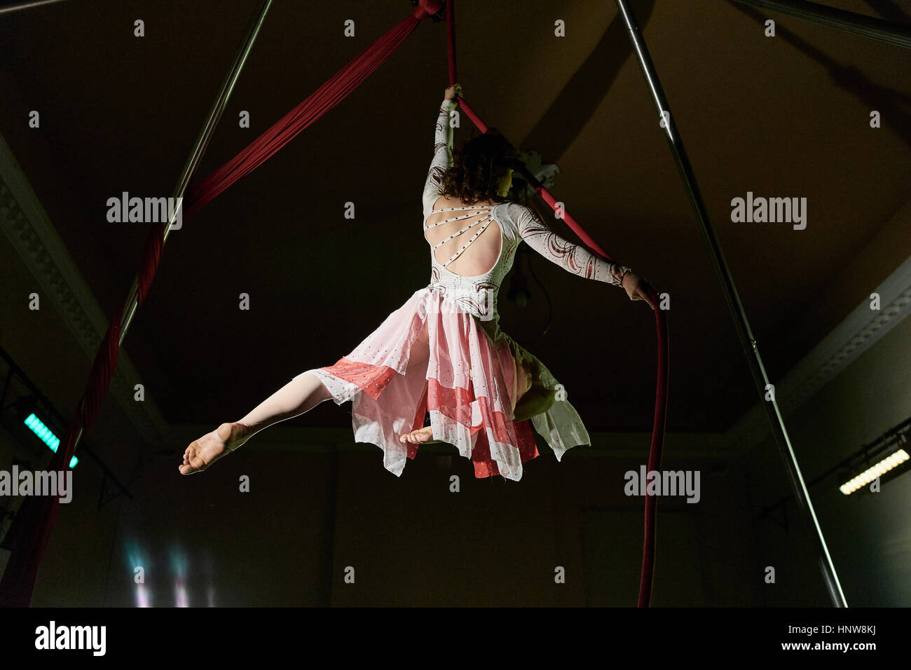 Low angle rear view of young female aerial acrobat hanging from silk ...