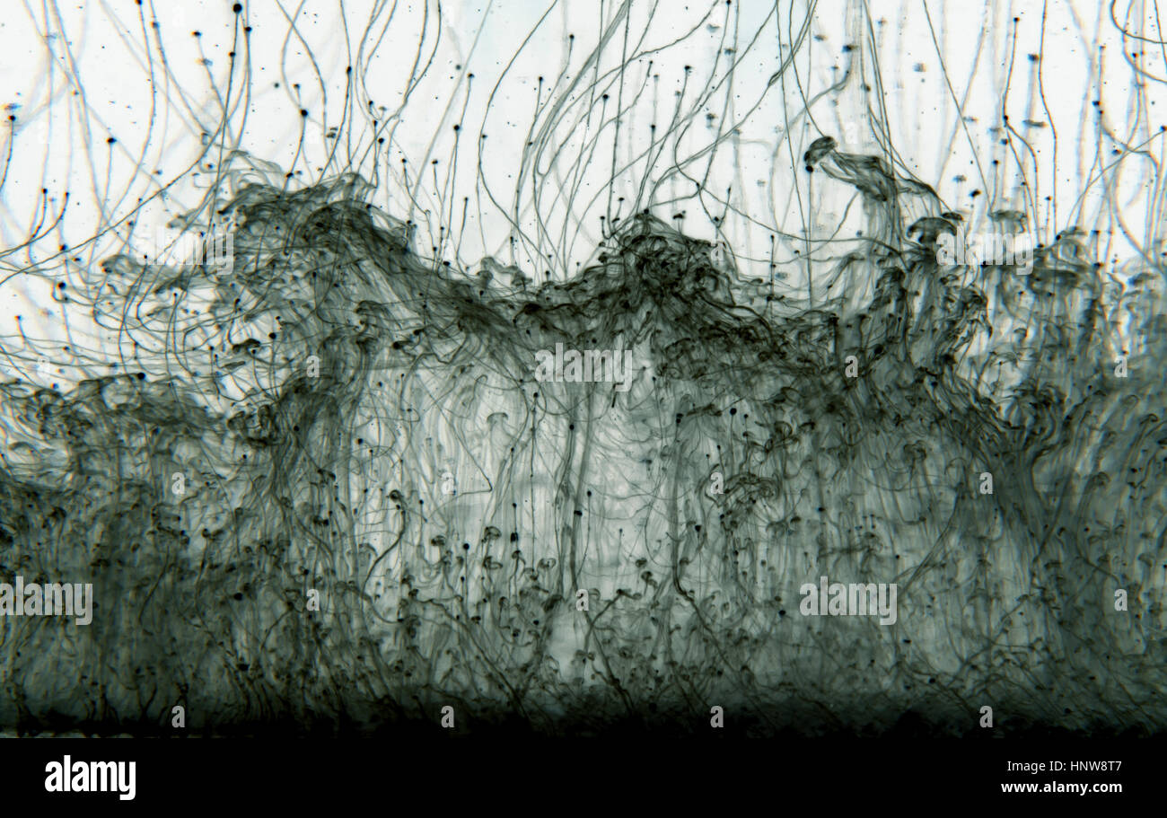 Dynamic aquatic life hi-res stock photography and images - Alamy