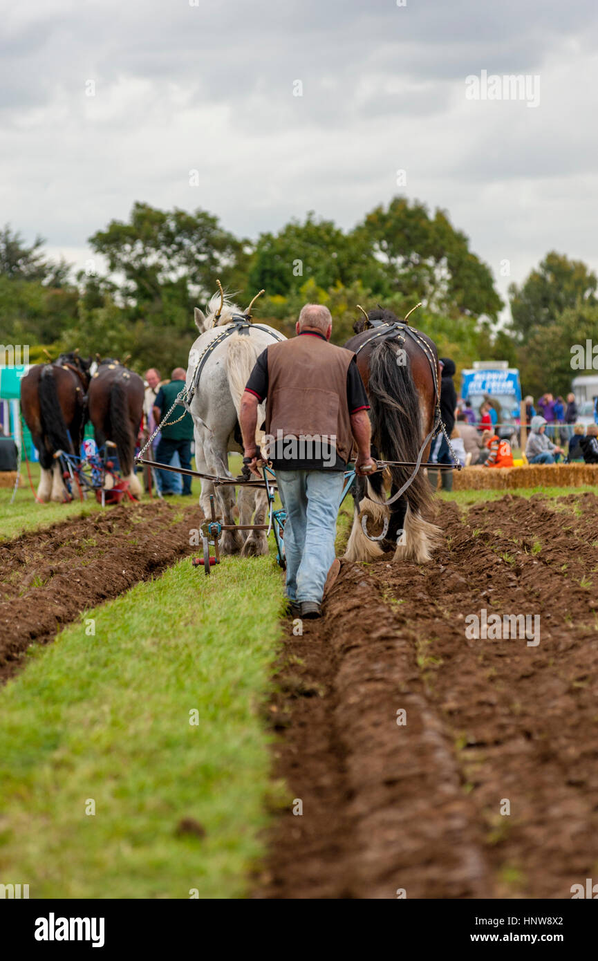 Ploughing match england hi-res stock photography and images - Alamy