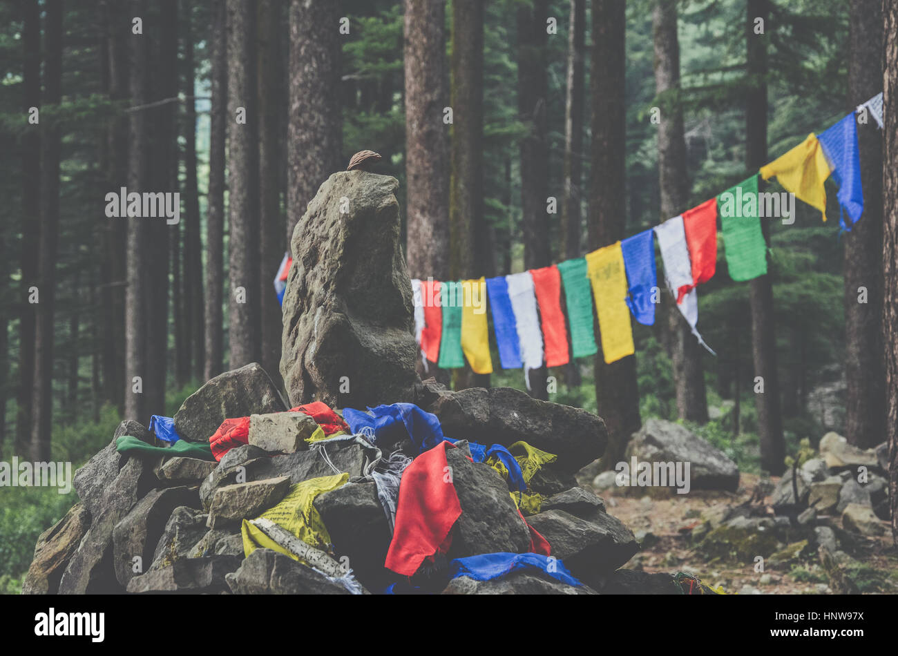 tibetan prayer flag in Indian woodland Stock Photo - Alamy