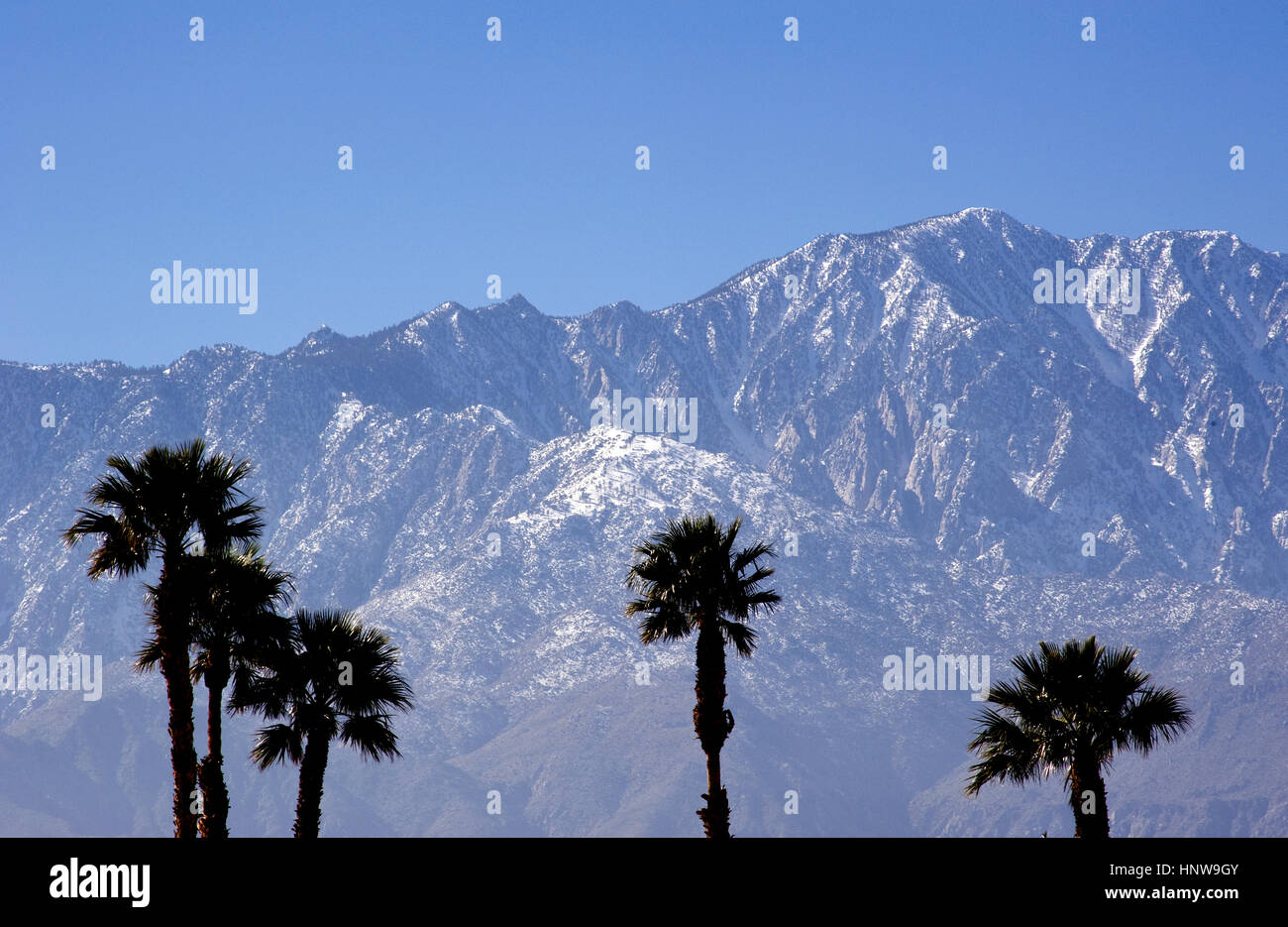 Palm tree and mountains with snow near Palm Springs Stock Photo - Alamy