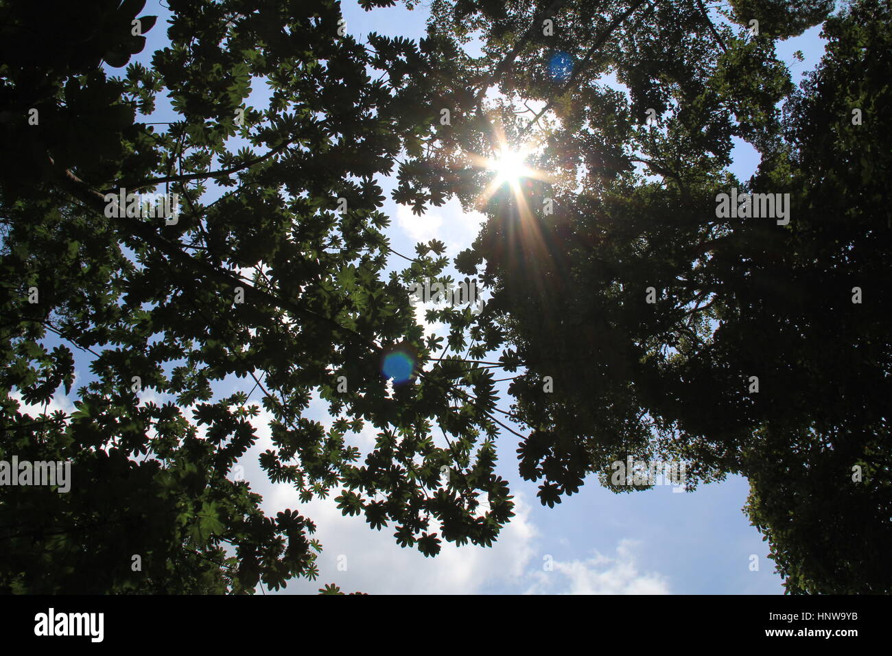 Under the tree Stock Photo - Alamy