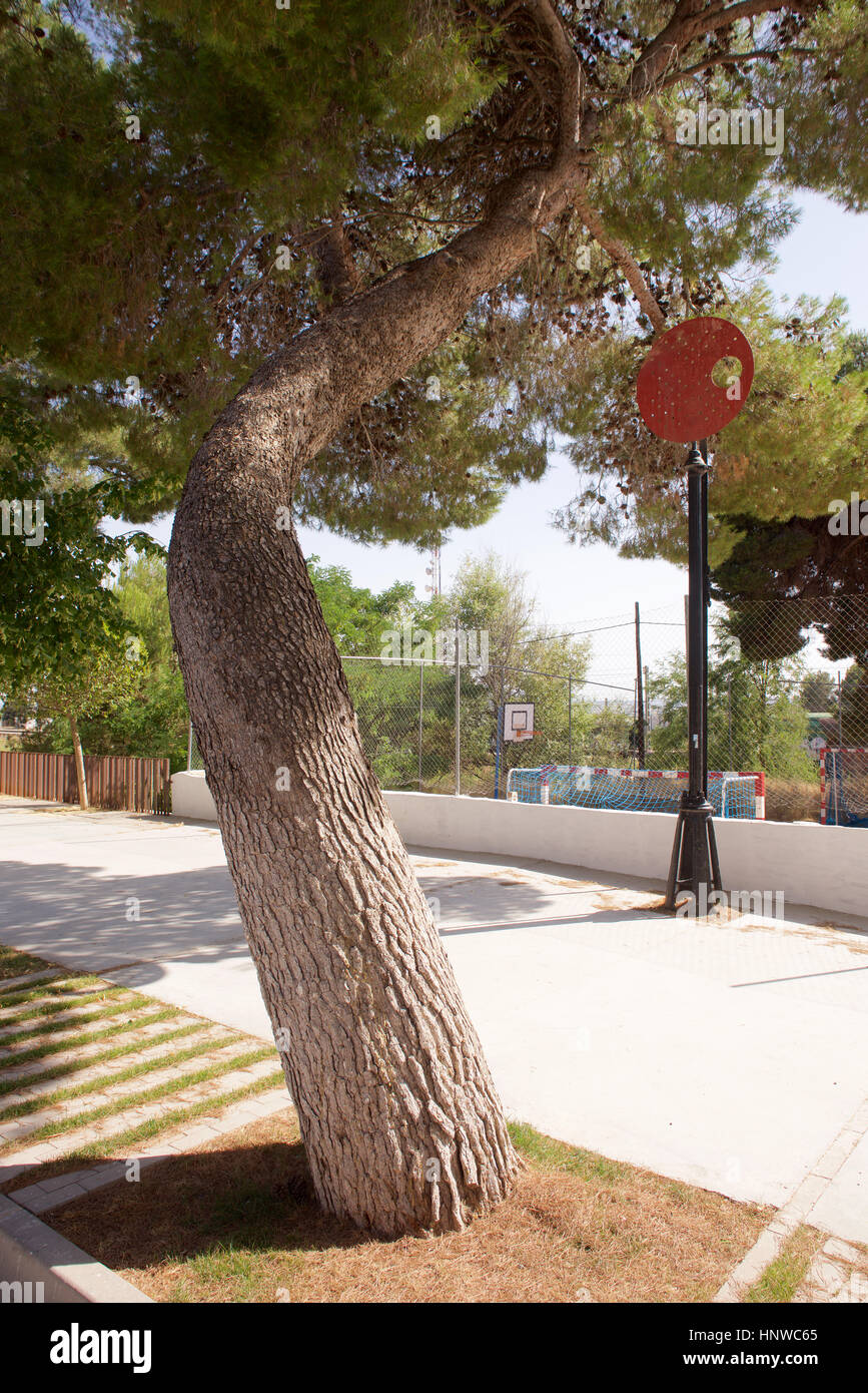 Encina encina hi-res stock photography and images - Alamy