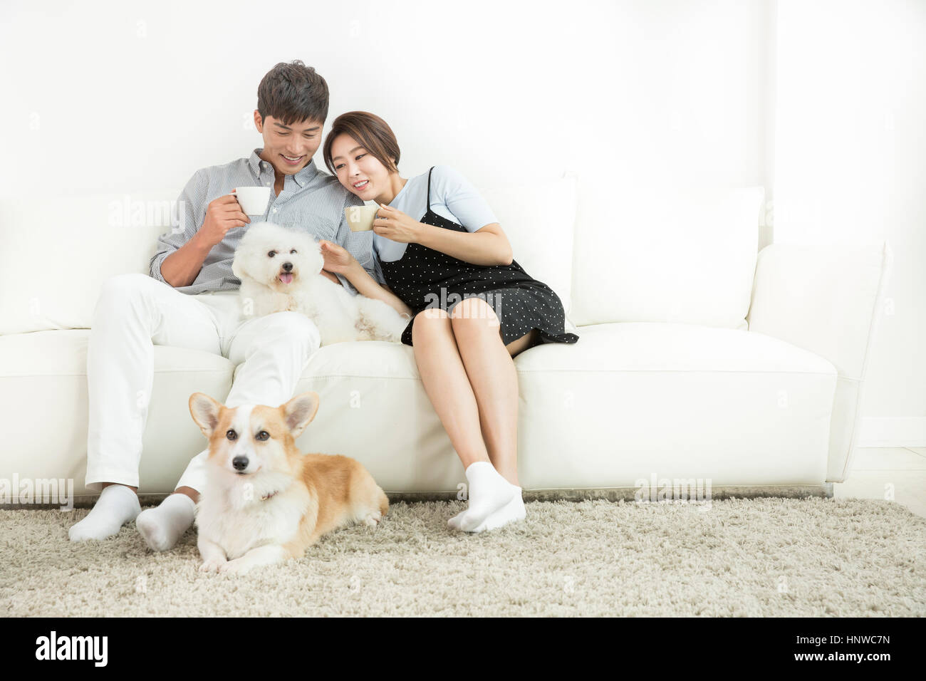 Harmonious couple with pet dogs Stock Photo - Alamy