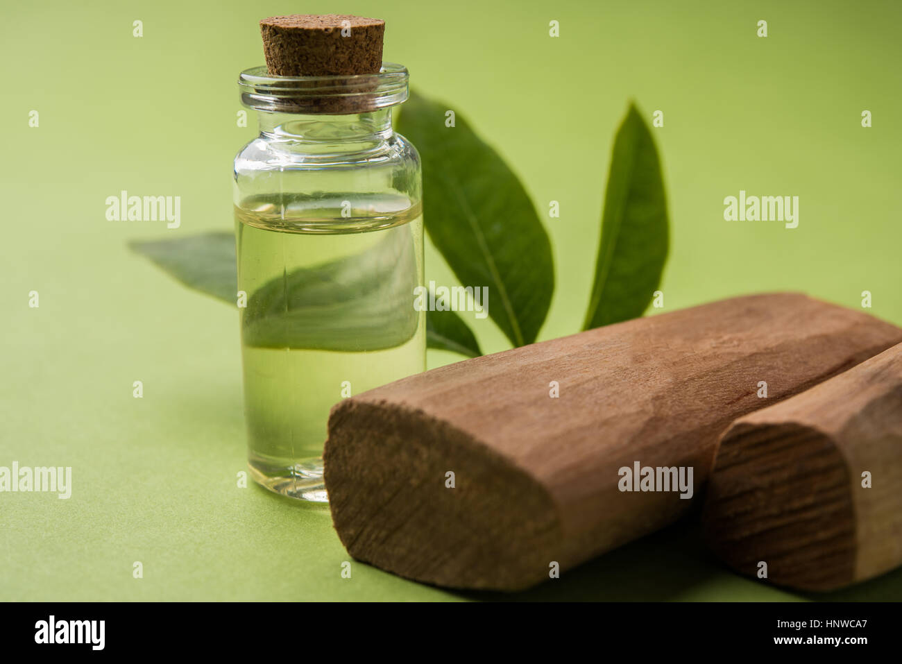 Sandalwood Forest High Resolution Stock Photography and Images - Alamy
