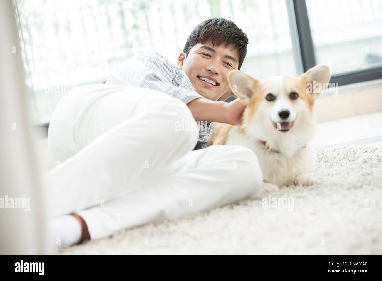 Smiling man with pet Stock Photo - Alamy