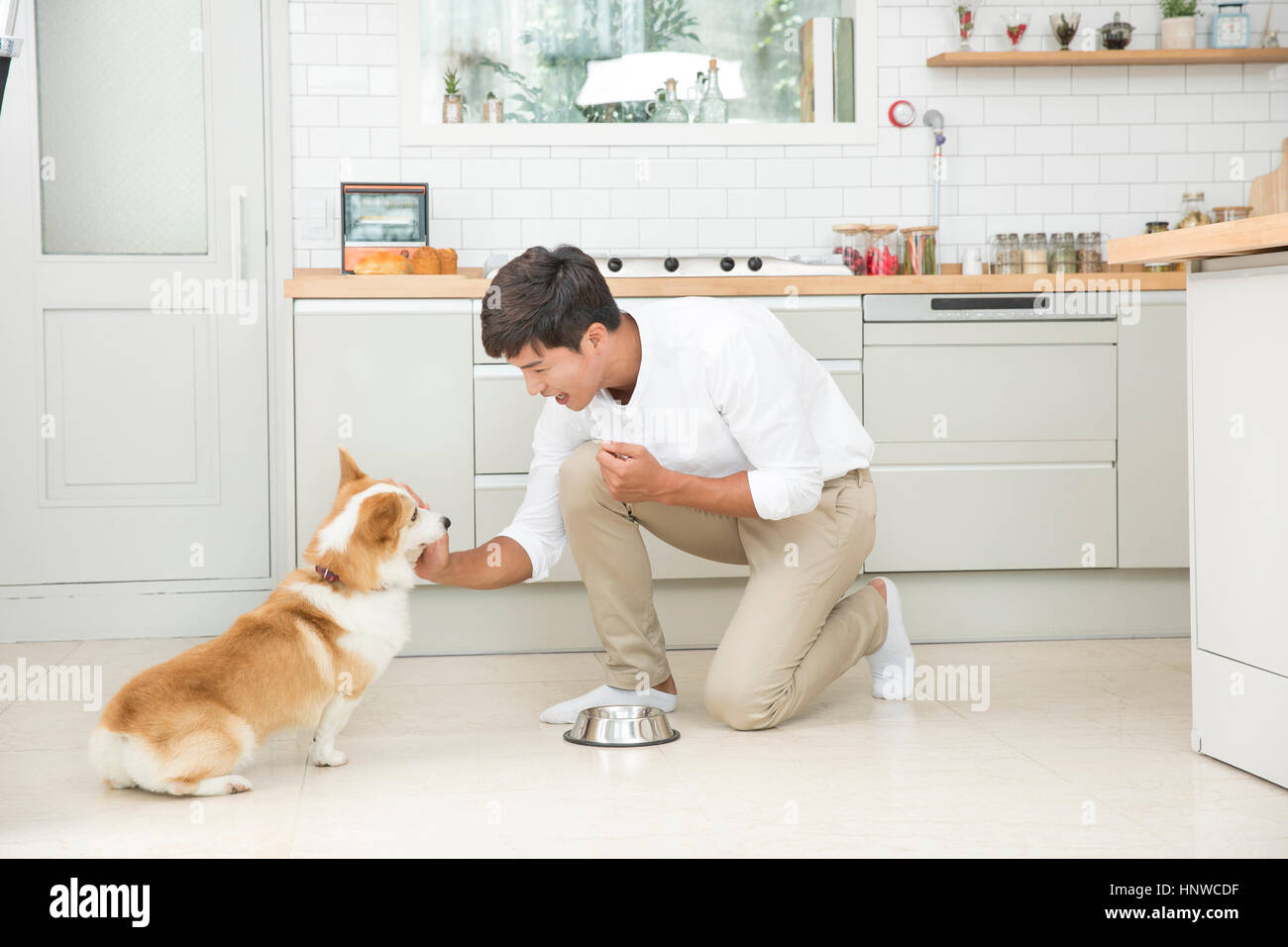 Smiling man with pet Stock Photo - Alamy