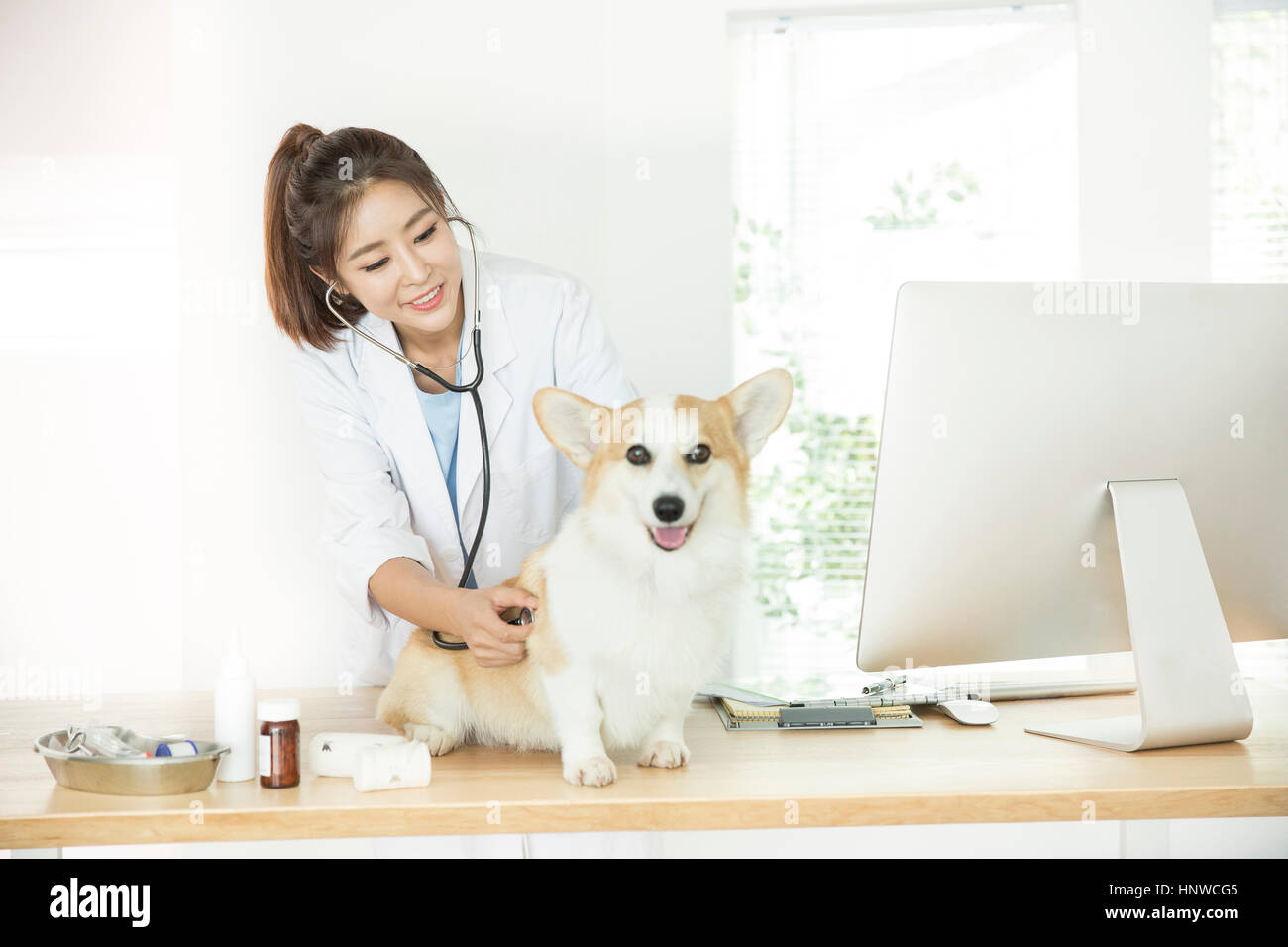Female veterinarian ethnicity hi-res stock photography and images - Alamy