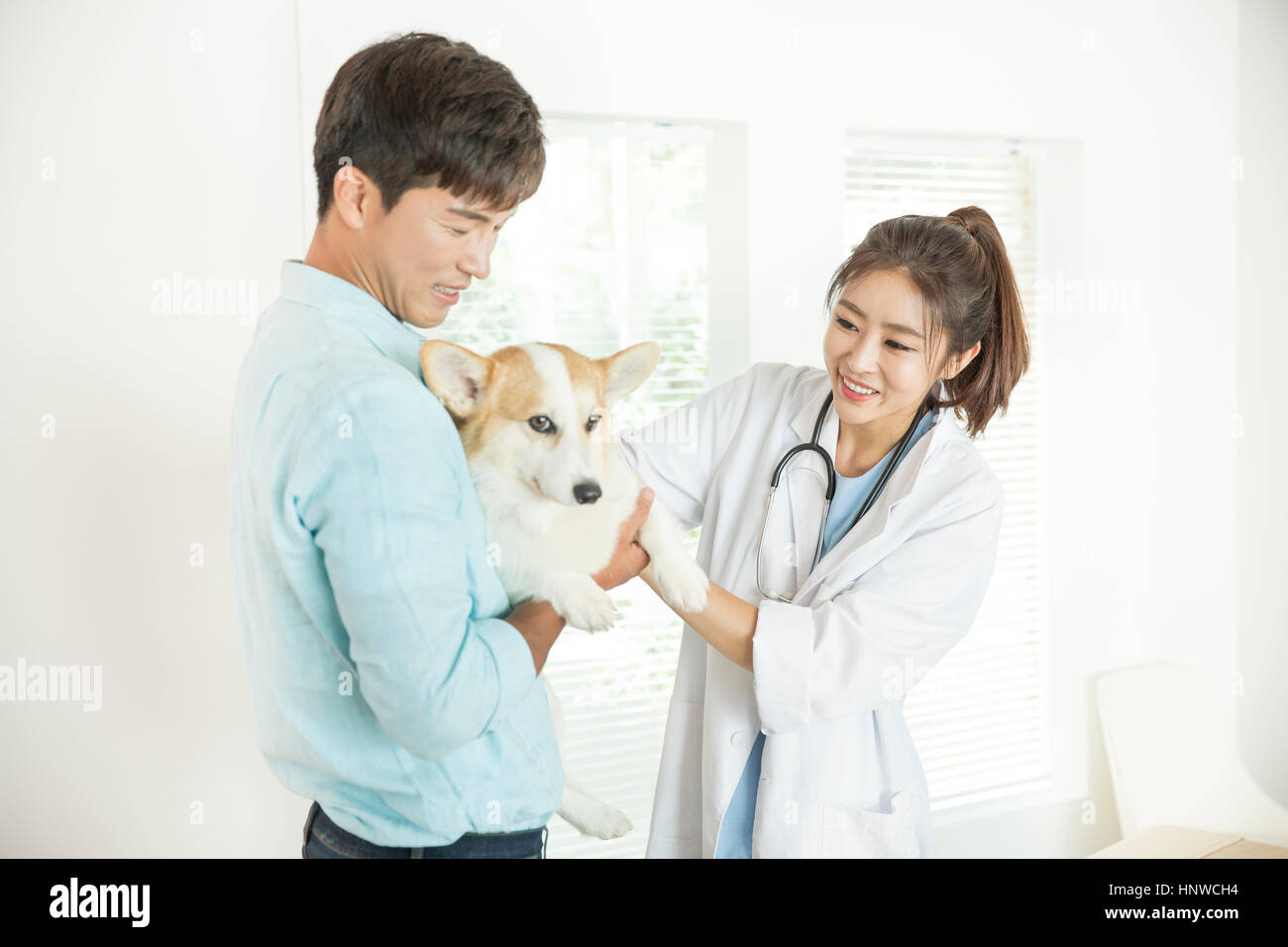 Man and vet taking care of pet Stock Photo - Alamy